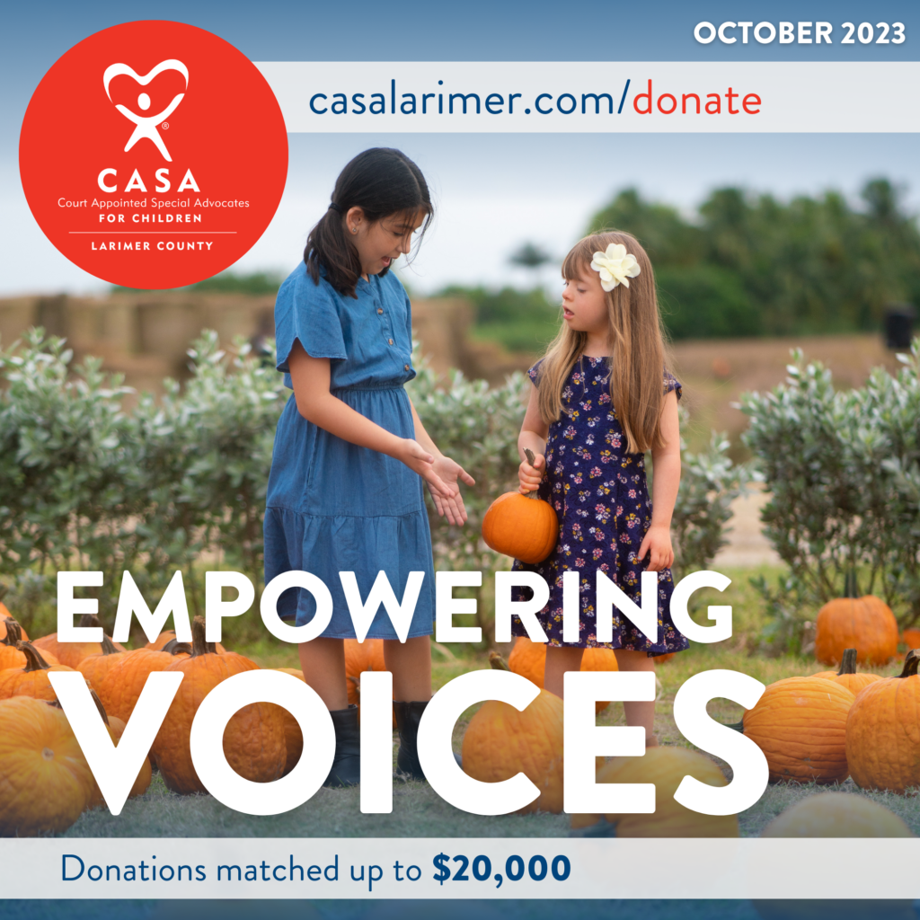 Empowering Voices Fall Campaign - CASA of Larimer County